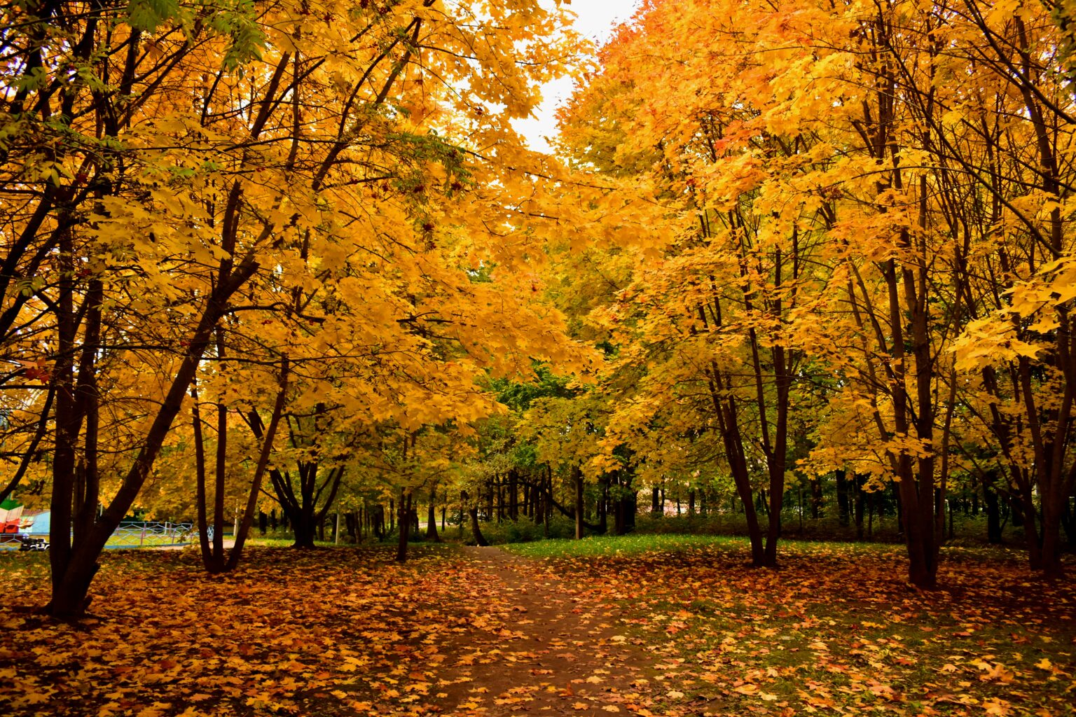 Sedgebrook Hall | Manor Hotel Conference Venue Northampton